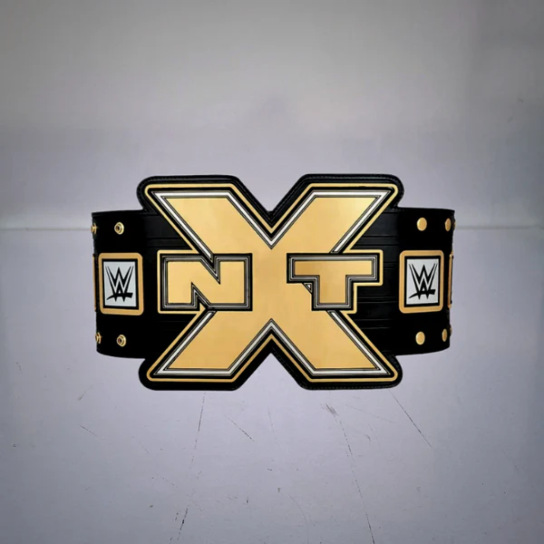 NXT Belt 2012 - Iconic Wrestling Championship Title Design